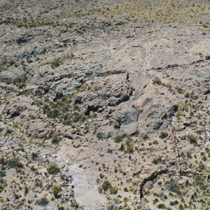 Ancient Andean hunting traps